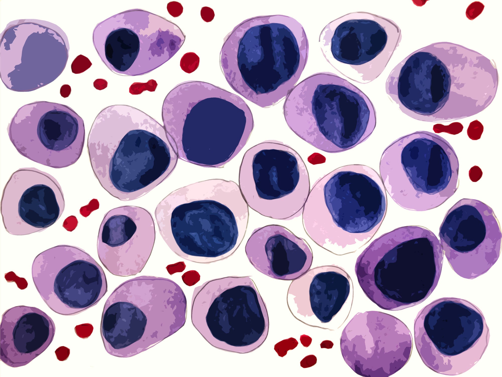 Blood cells – Mikiki Illustrations